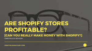 Are Shopify Stores Profitable? [Can You Really Make Money?]