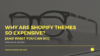 Why Are Shopify Themes So Expensive? [And What You Can Do]