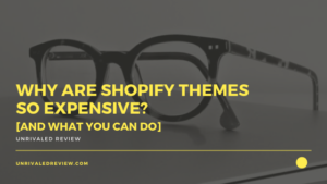 Why Are Shopify Themes So Expensive? [And What You Can Do]
